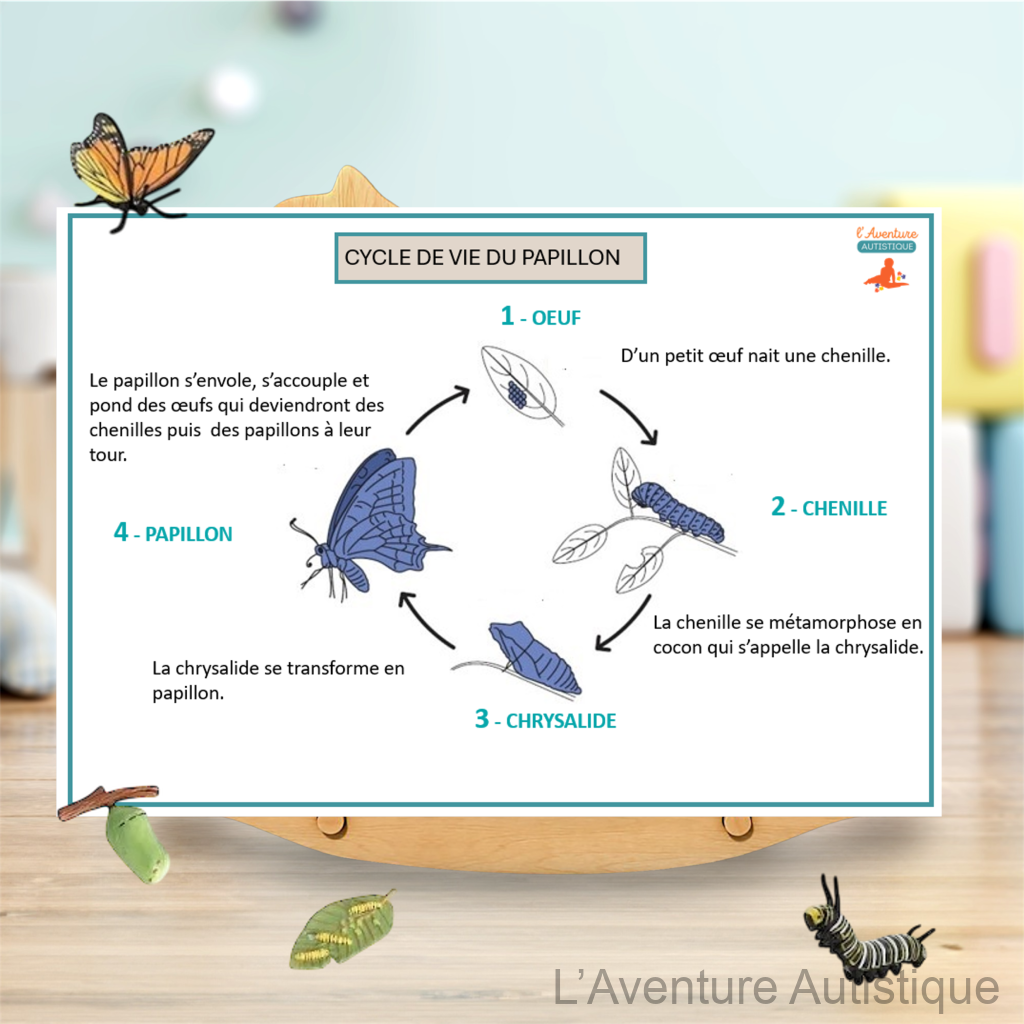 Support éducatif: Les papillons - L'Aventure Autistique